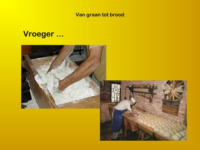 Van graan tot brood | PPT | Agriculture | Industries
