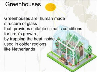 Vani Agarwal Assignment | PPT