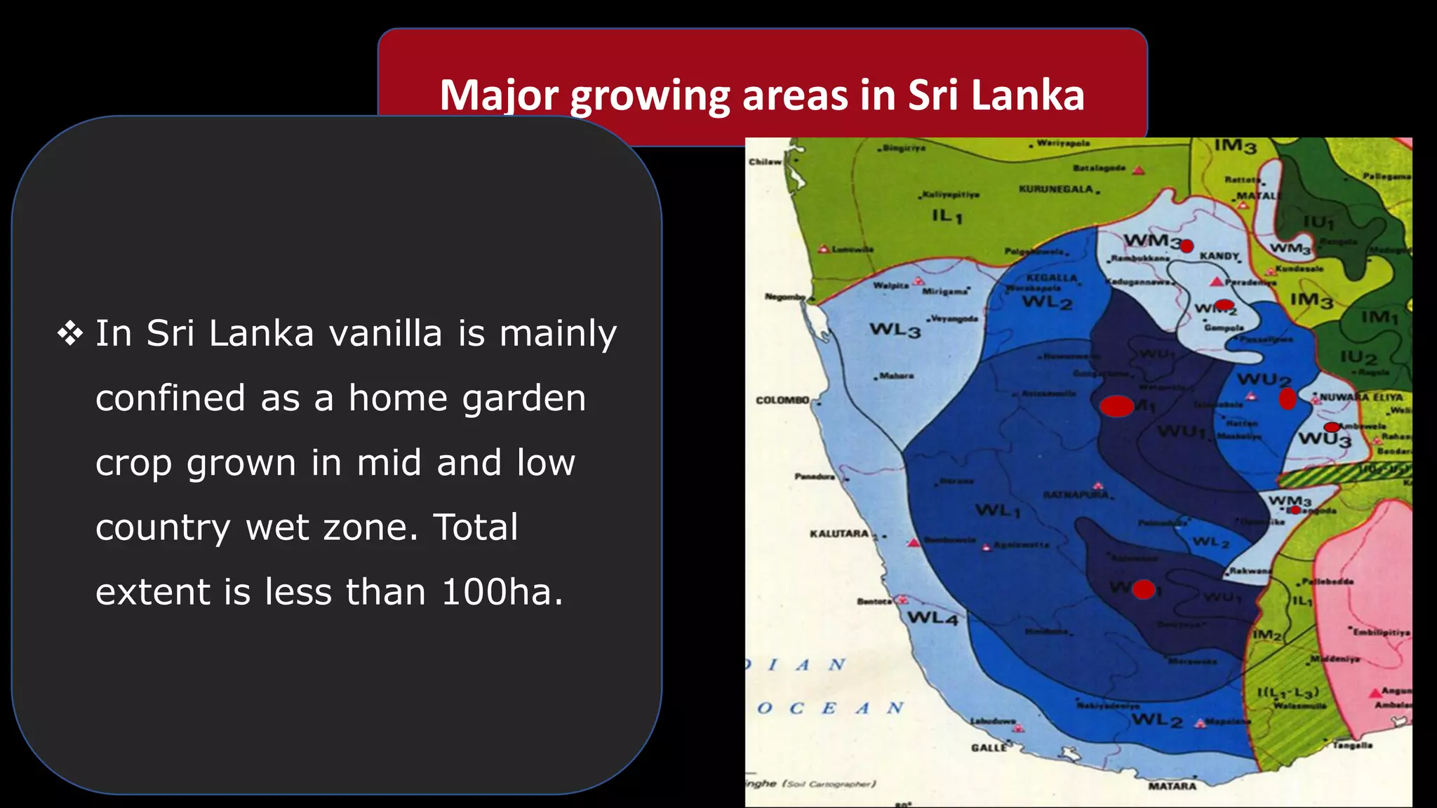 vanilla cultivation | PDF