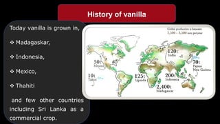 vanilla cultivation | PDF