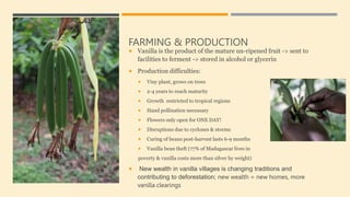 Vanilla Planifolia.pptx
