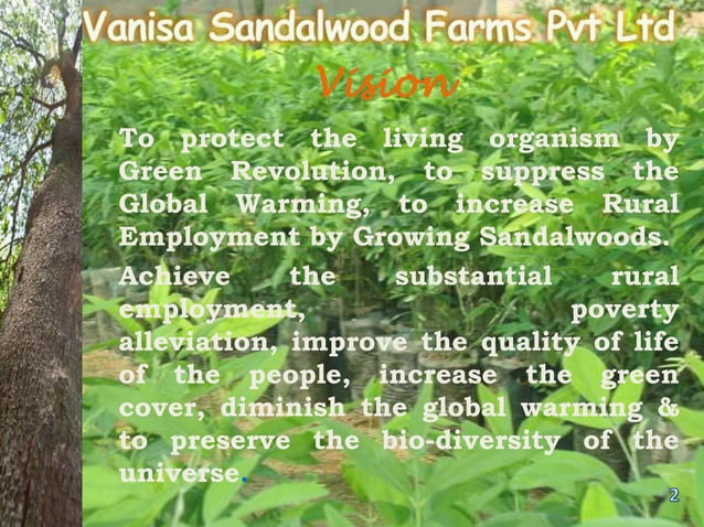 Vanisa sandalwood farms pvt ltd | PPTX | Woodworking | Arts and Crafts