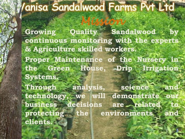 Vanisa sandalwood farms pvt ltd | PPTX | Woodworking | Arts and Crafts