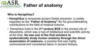 The father of anatomy and a great anatomist Herophilus | PDF