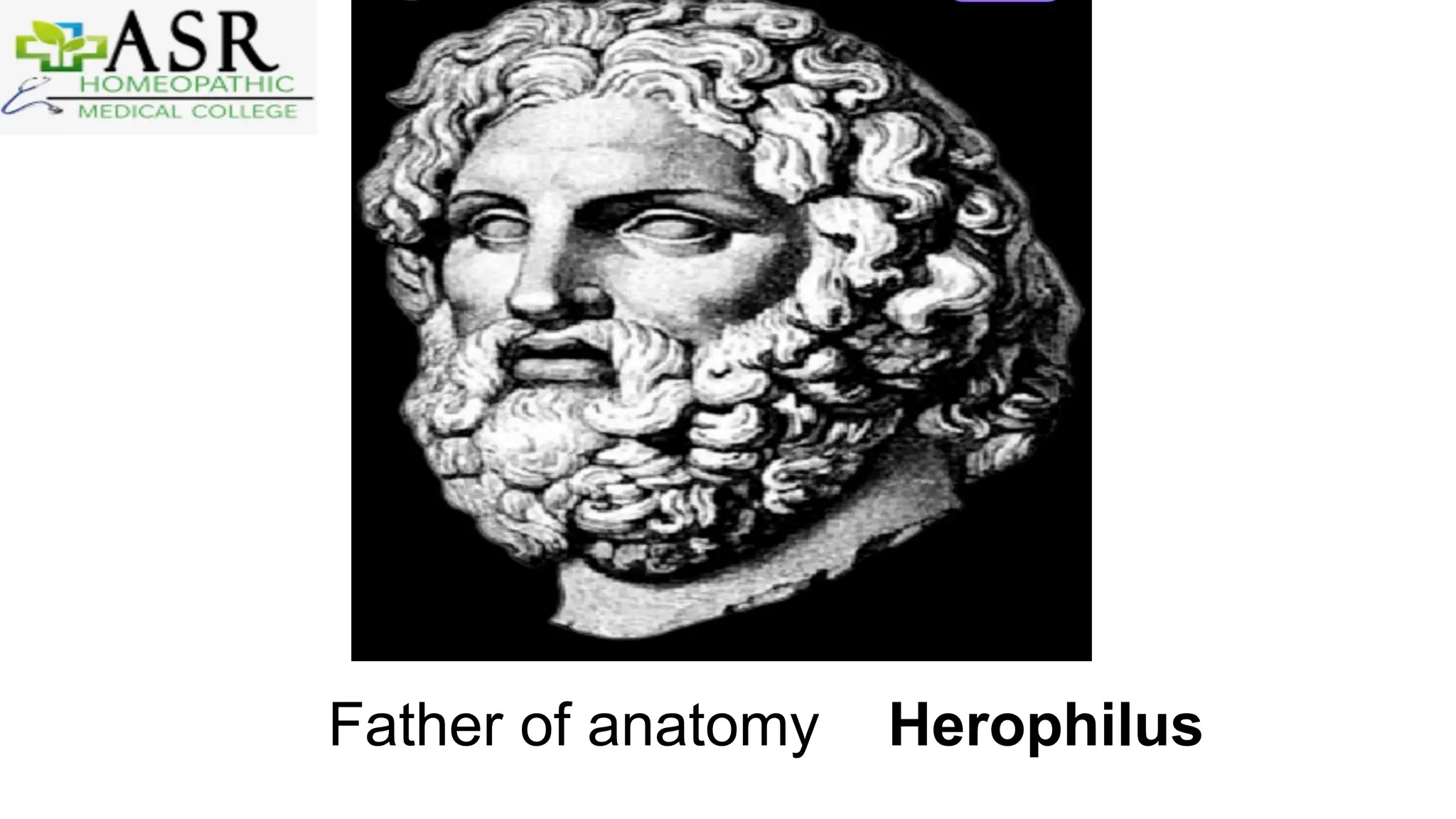 History of anatomy Greek period Herophilus | PPT