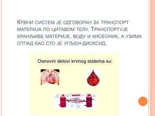 крвни систем Vanja rubezic | PPT