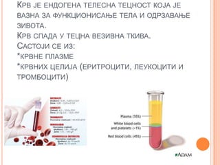 крвни систем Vanja rubezic | PPT