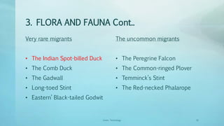 Vankalai wetland | PPTX