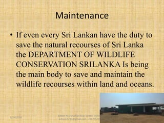Vankalai wetland | PPT