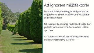 Vanliga misstag att undvika vid gödsling av häckväxter.pptx