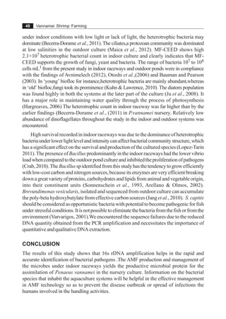 Vannamei shrimp farming | PDF
