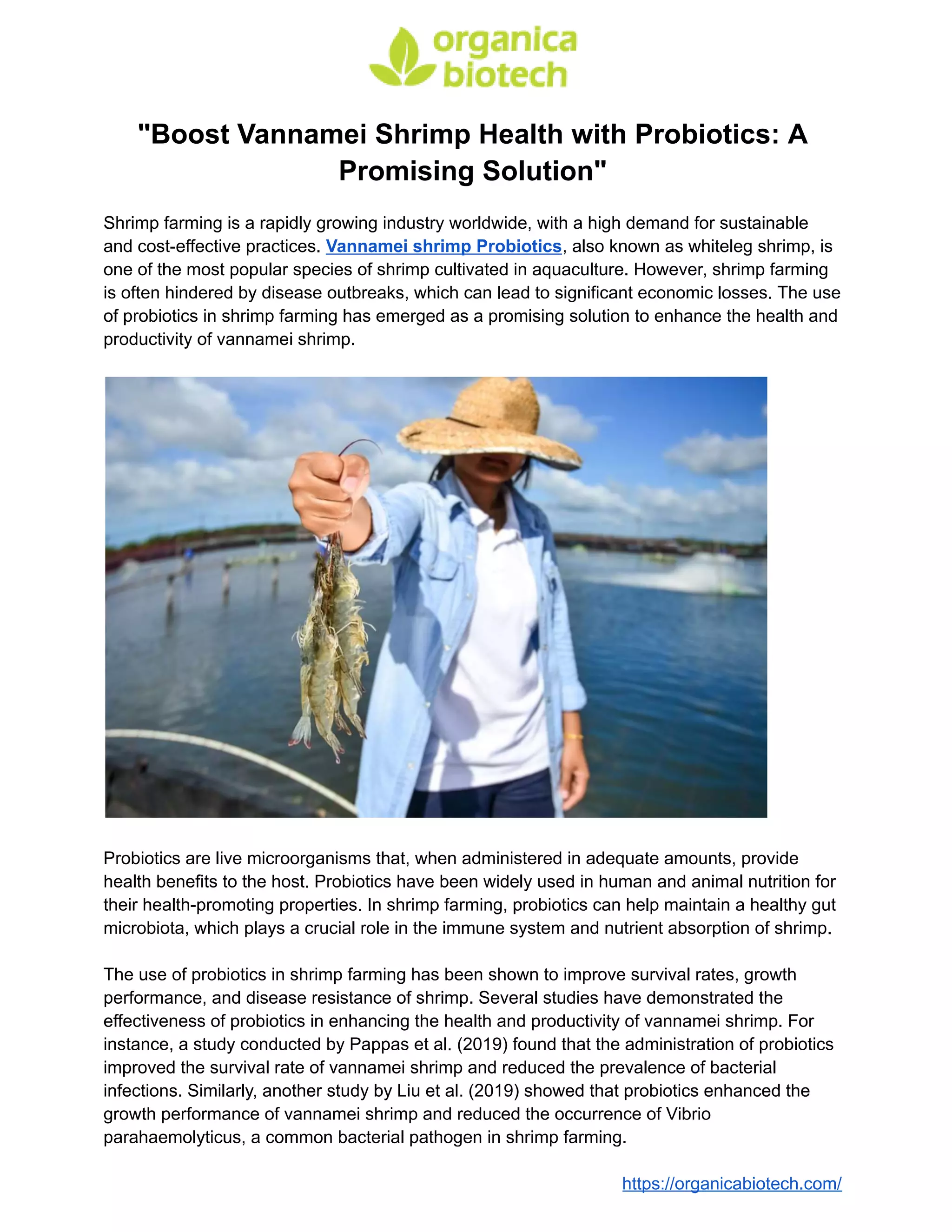 Probiotics For Vannamei Shrimp Culture and Shrimp Farming | PDF