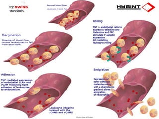 Vantomor medical knowledge | PPT