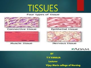 Tissues | PPT