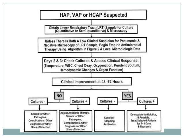 Ventilator associated pneumonias including HAP.pptx