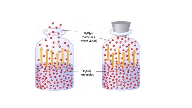 Vapour pressure and cavitation | PPTX | Chemistry | Science