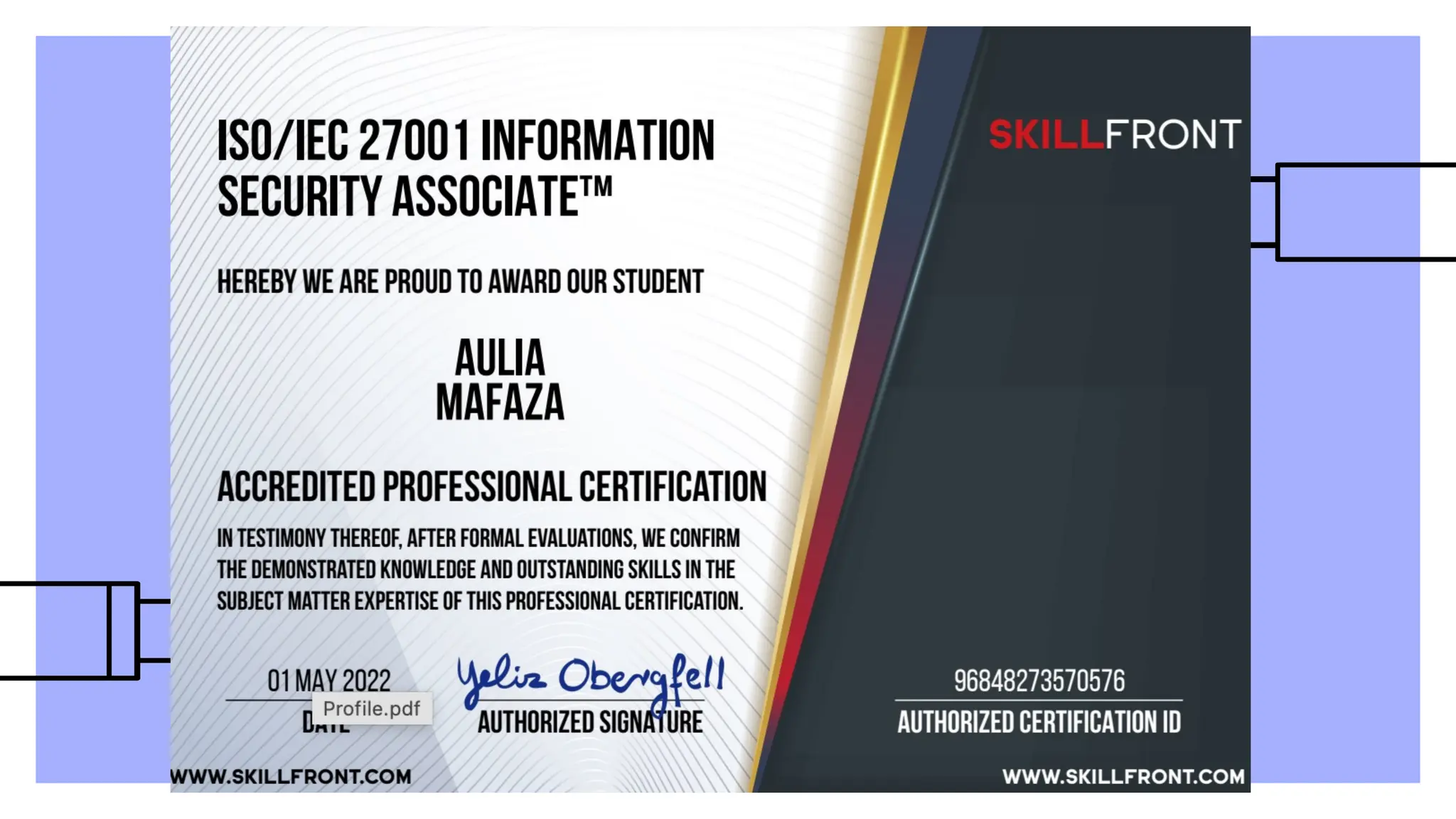 Vulnerability Assessment And Penetration Testing Ppt