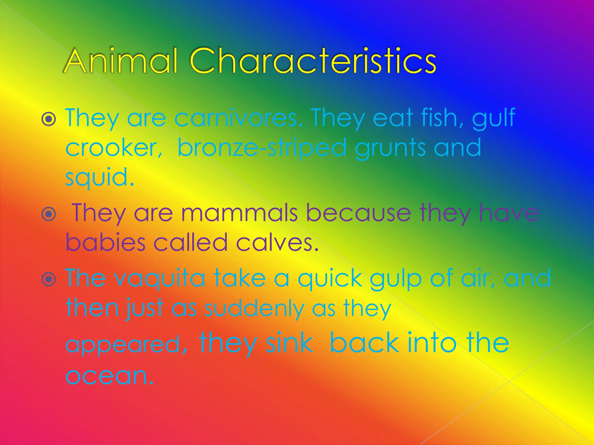 Vaquita by Mikayla and Reagan | PPT