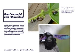 Hindustan Vardan | PPT