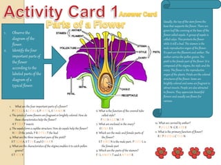SIM:Plants Prt 2 | PPTX