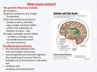 Causes Of Autism
