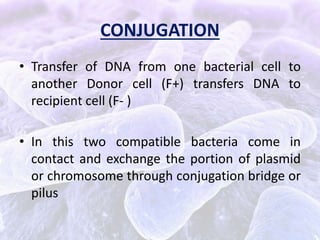 variability in fungi gdrh-170101063936 .pptx