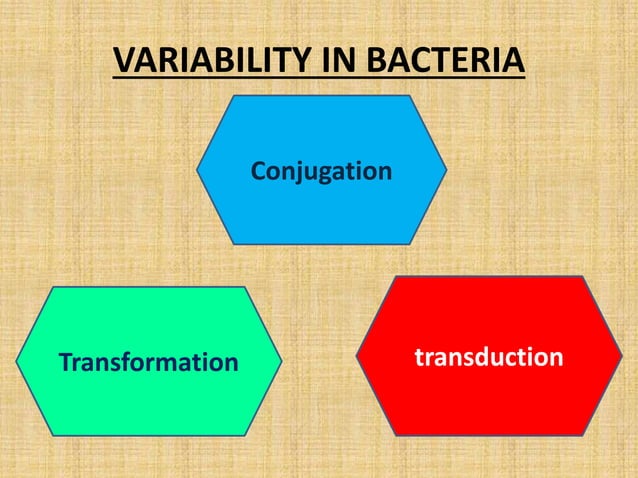 PATHOGEN VARIABILITY | PPTX | Biological Sciences | Science