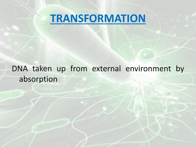 PATHOGEN VARIABILITY | PPTX | Biological Sciences | Science