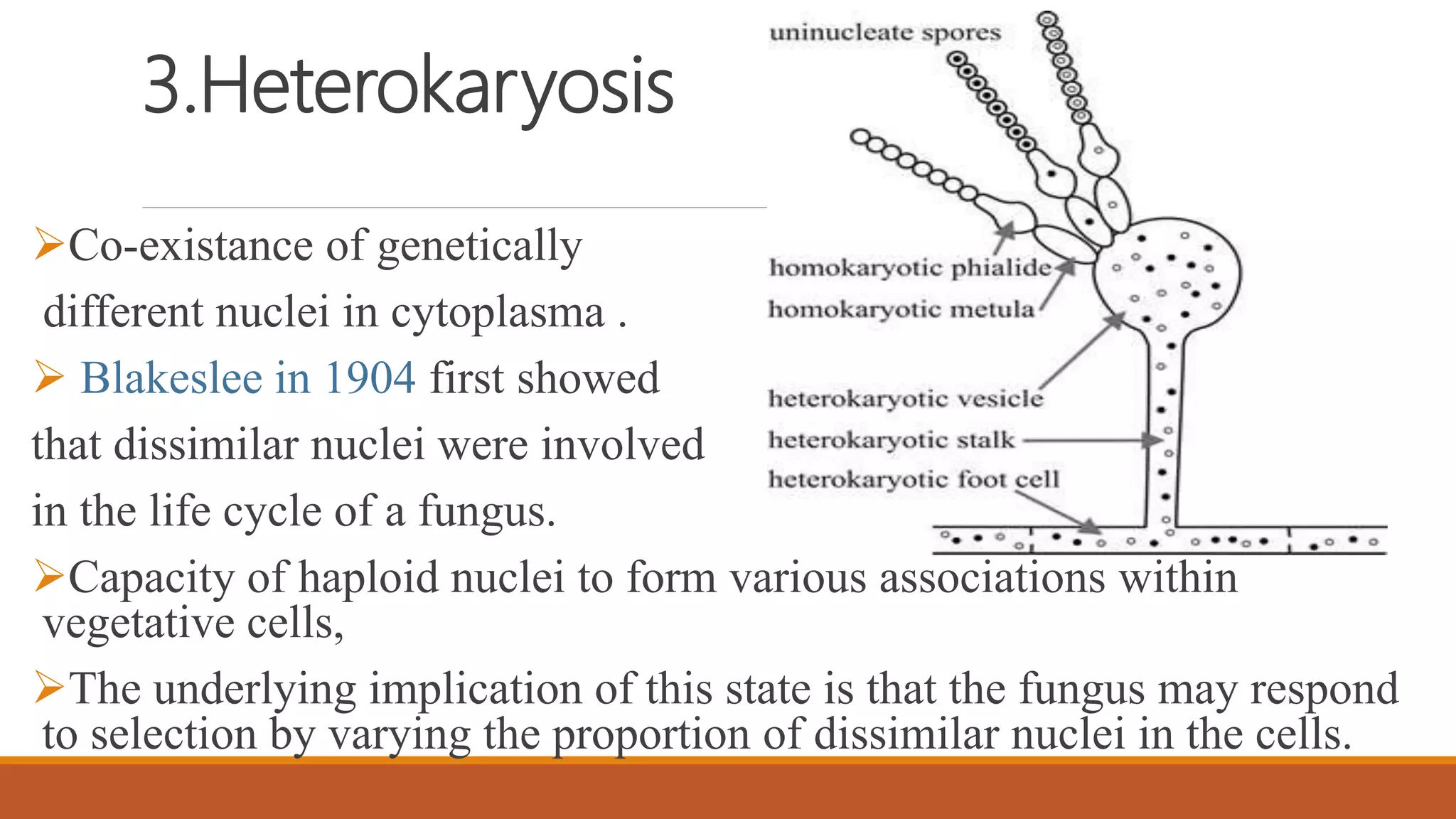 Variability in fungi | PPTX
