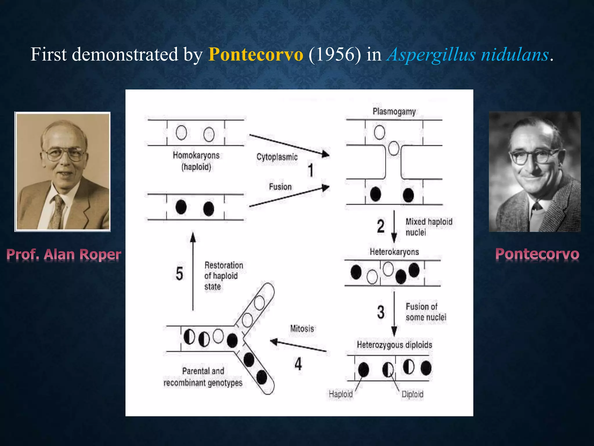 Variability in plant pathogens | PPTX
