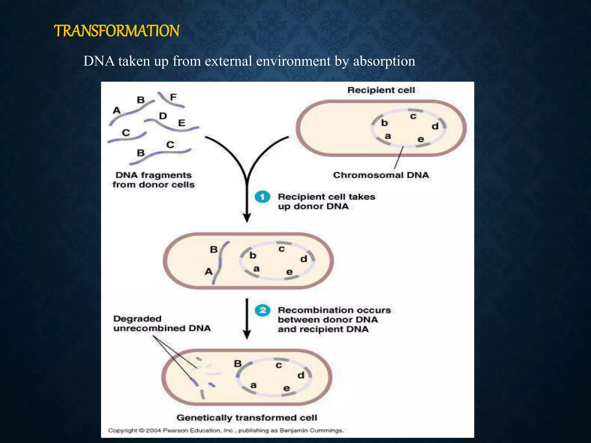 Variability in plant pathogens | PPTX