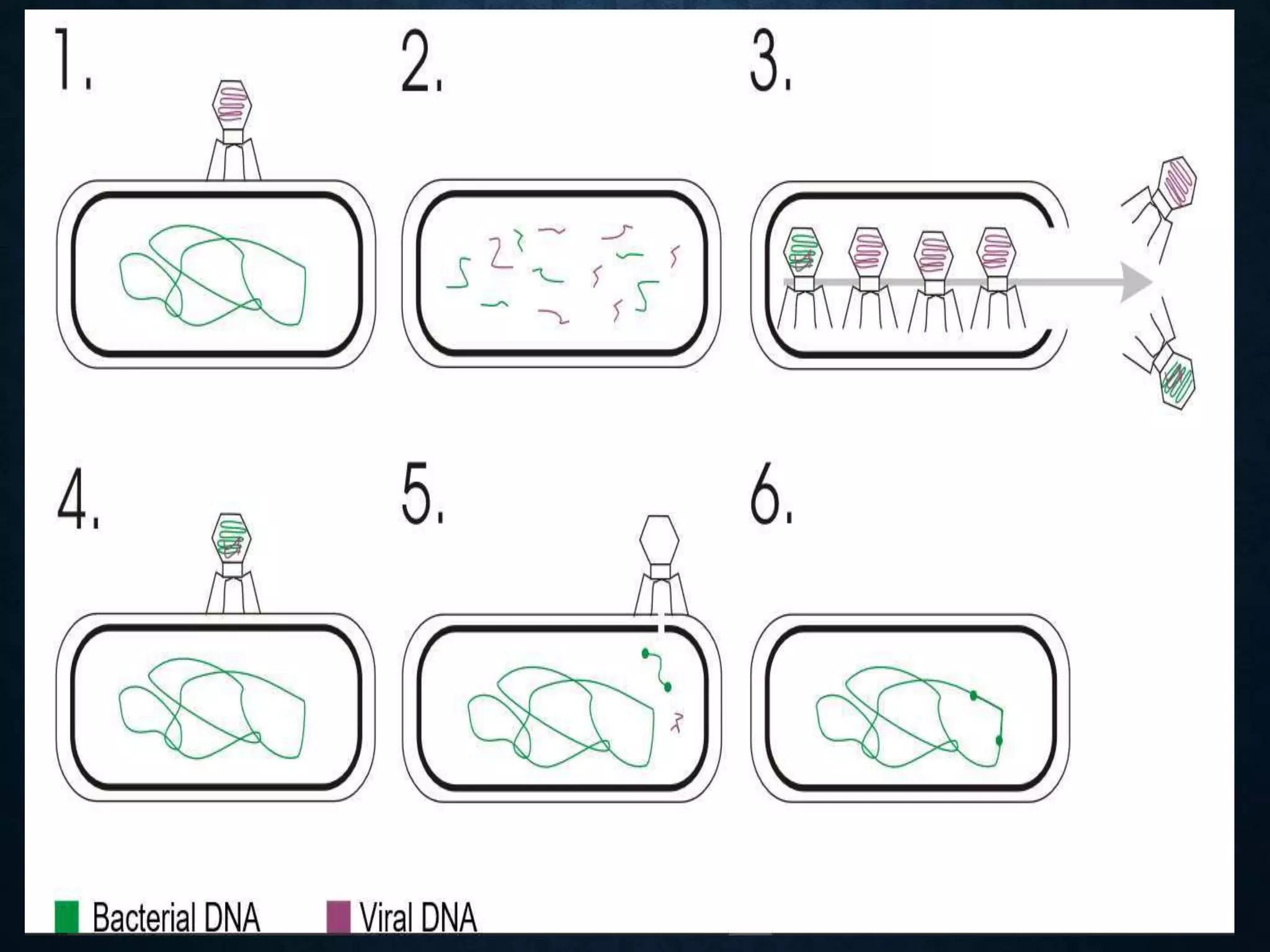 Variability in plant pathogens | PPTX