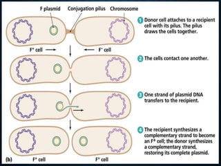 Variability in plant pathogens | PPTX