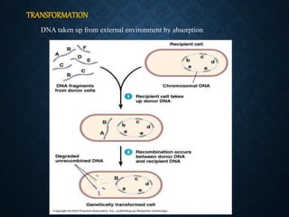 Variability in plant pathogens | PPTX