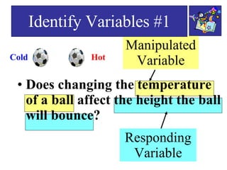 Variable Basics Ppt | PPT | Science
