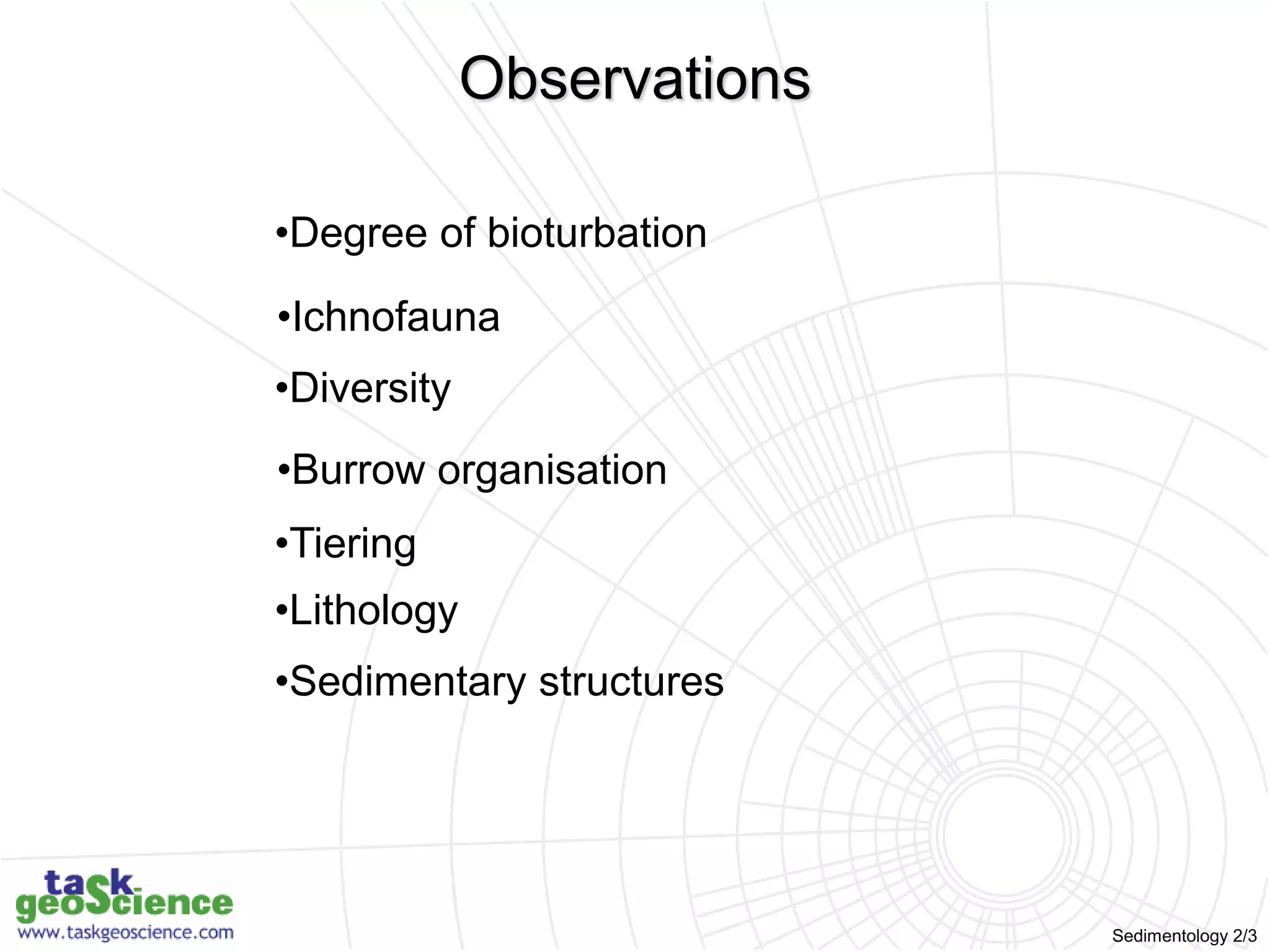 Variable bioturbation, moderate.ppt