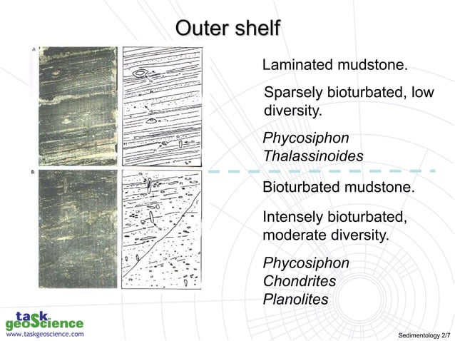 Variable bioturbation, moderate.ppt