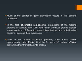 Variable expression | PPTX