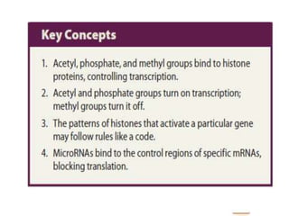 Variable expression | PPT