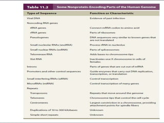 Variable expression | PPT