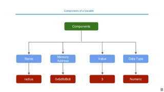 Variables & Data Types in R | PDF