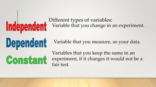 Variables | PPT