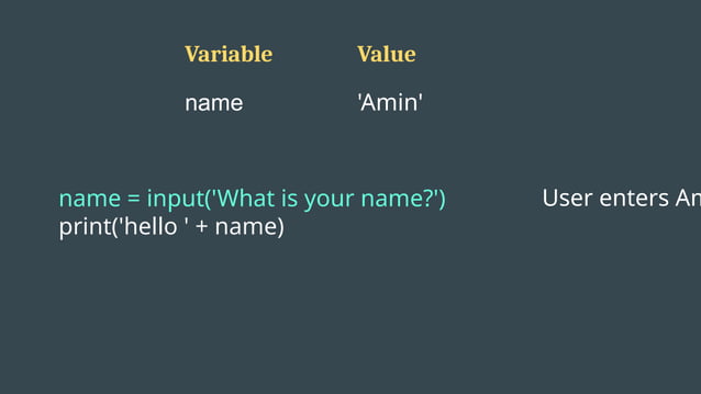 Understanding Python Programming Language -Variable | PPT