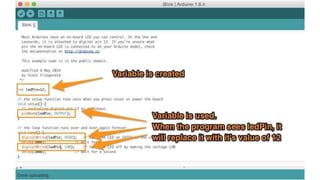 Variables Scope and Values Programming .pptx