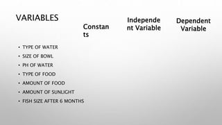 Variables and constructs | PPTX | Science