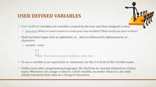 Variables and User Input | PPTX | Programming Languages | Computing