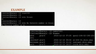 Variables and User Input | PPTX | Programming Languages | Computing