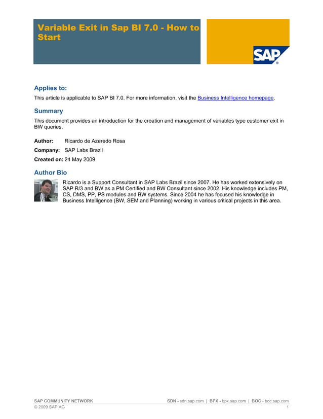 Variables in sap bi | PDF