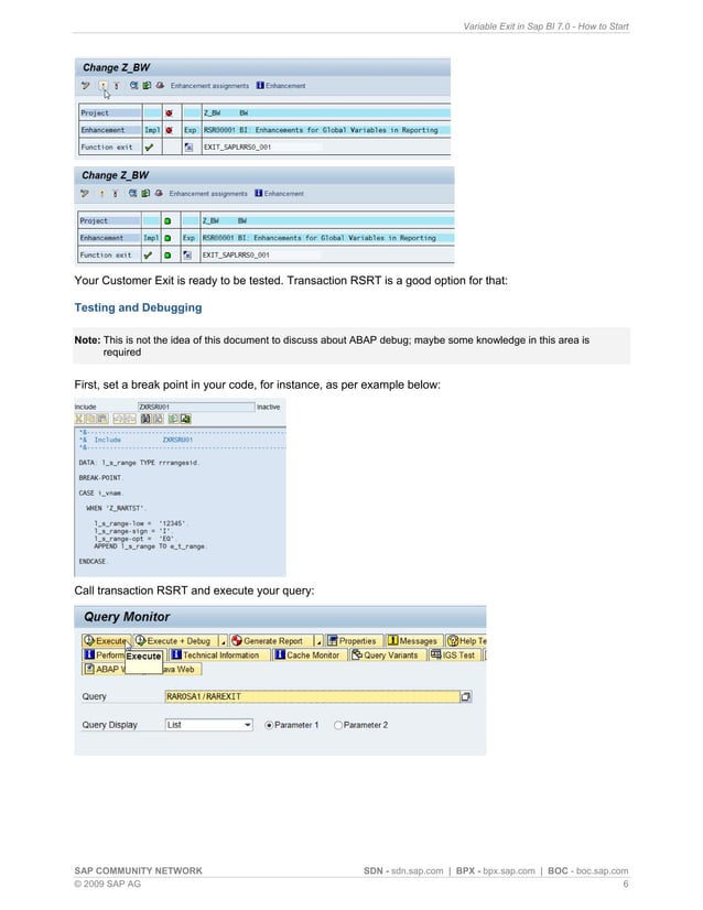 Variables in sap bi | PDF