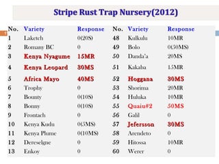 Variablity of stripe rust tigray ethiopia by teklay abebe | PPT